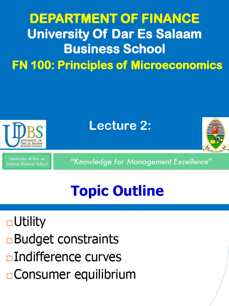 FN100 Lecture 2 Theory of Consumer Behaviour | PDF | Utility | Marginal Utility