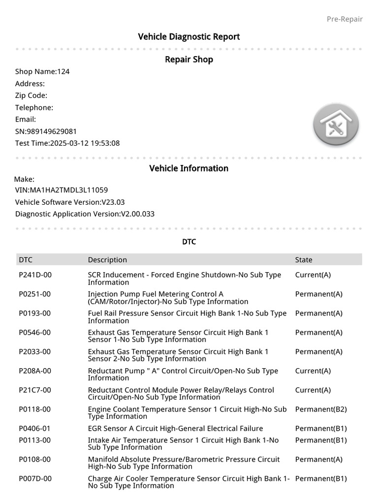 Eobd2 Ma1ha2tmdl3l11059 DTC 20250312195308 | PDF