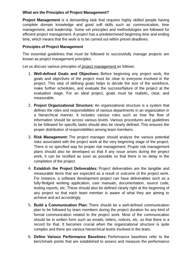 Principles of Project Management REPORT | PDF | Project Management