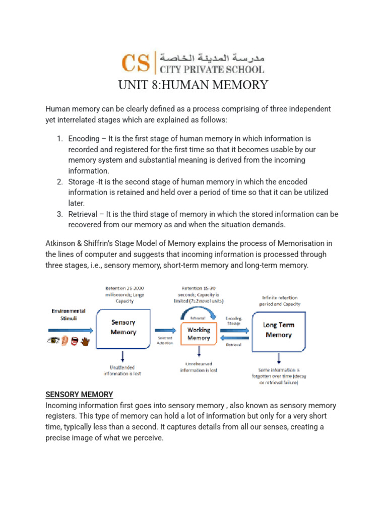 HUMAN MEMORY | PDF | Memory | Recall (Memory)