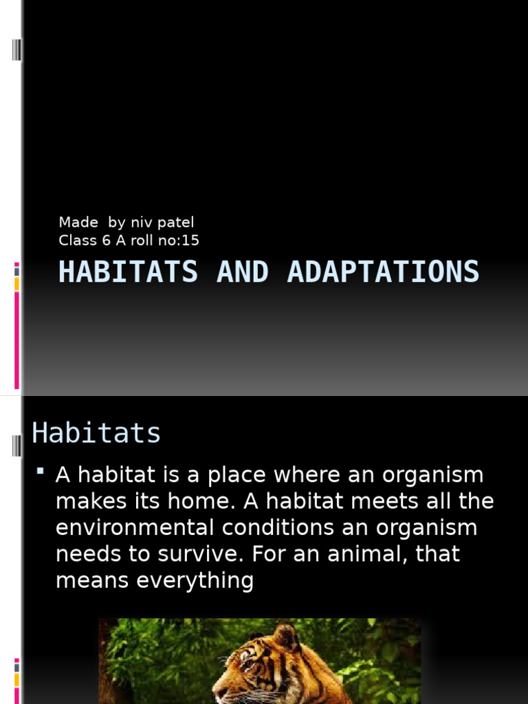Habitats and Adaptations Science Project | PDF | Habitat | Leaf