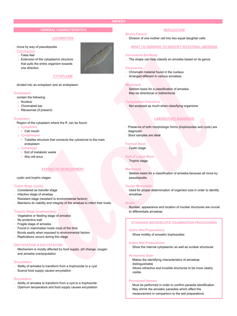 Amoeba Medtech Reviewer | PDF