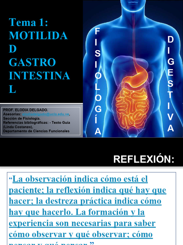 4 Motilidad Gastrointestinal (Presentación) Autor Prof. Elodia Delgado ...