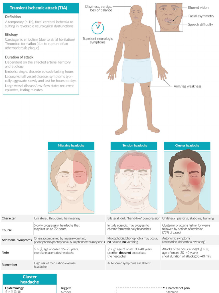 AMBOSS-Fact-sheet | PDF | Hypertension | Diabetes
