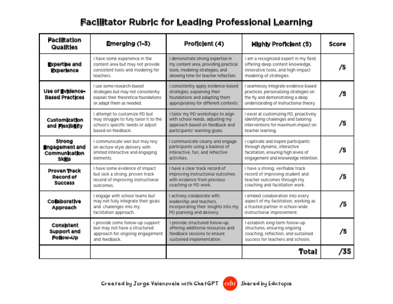 Effective Facilitator Rubric 1 1 | PDF | Expert | Learning