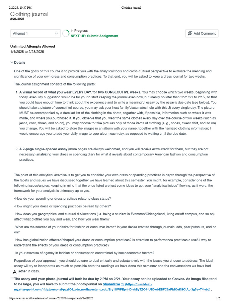 Clothing Journal Instructions | PDF | Consumption (Economics) | Clothing