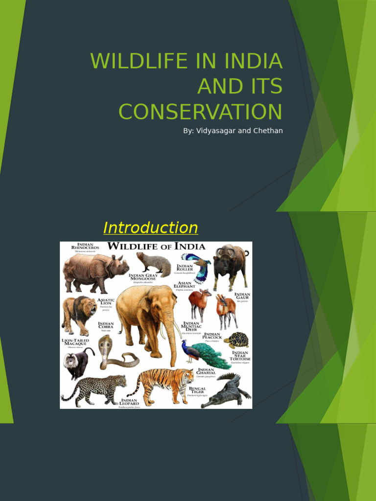 Wildlife in India and Its Conservation | PDF