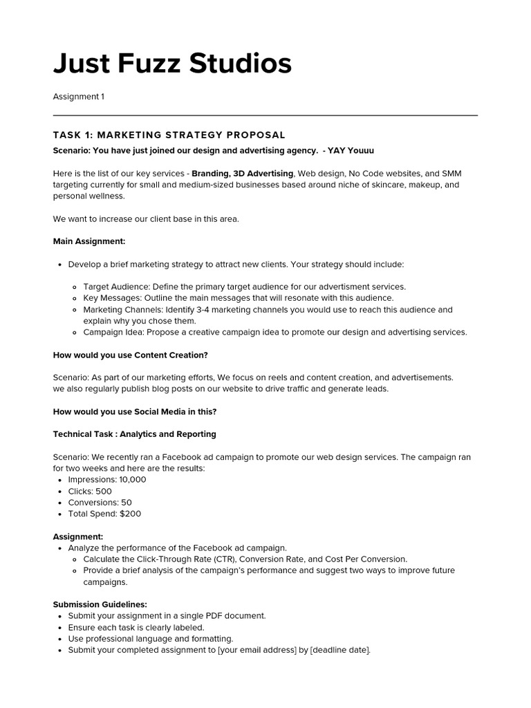 Marketing Strategy for Fuzz Studios | PDF