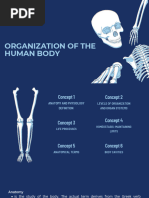 Laboratory 2 Body Organization and Terminology | PDF | Human Body ...