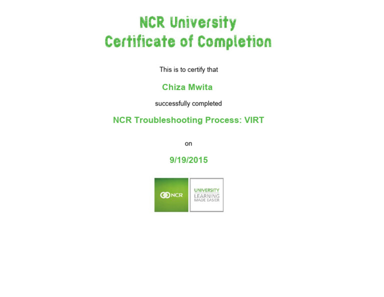 NCR Troubleshooting Process VIRT | PDF