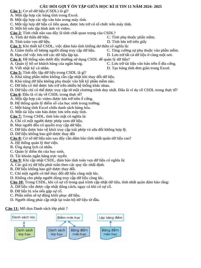 Tin 11-De Cuong On Tap Giua Hoc Ky 2 | PDF