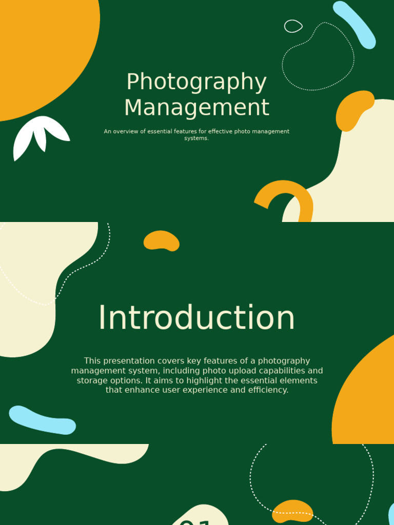 Photography Management | PDF | User Interface | Accessibility
