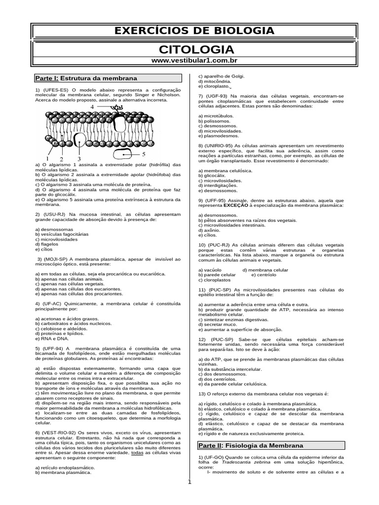 Exercícios Citologia | PDF | Célula (Biologia) | Citoplasma