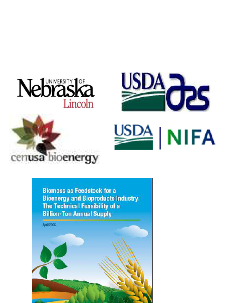 Switchgrass: A Sustainable Biofuel Solution | PDF | Renewable Fuels ...