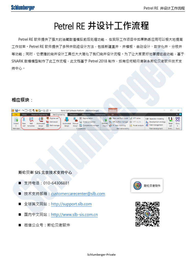 Petrel RE - 井设计工作流 - v1 | PDF