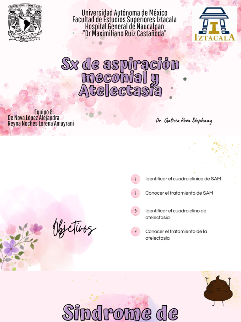 Síndrome de Aspiración Meconial: Guía Clínica | PDF | Neumonía ...