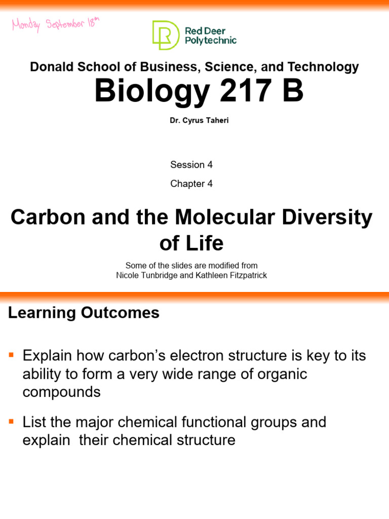 Biology 217 B: Carbon and The Molecular Diversity of Life | PDF ...