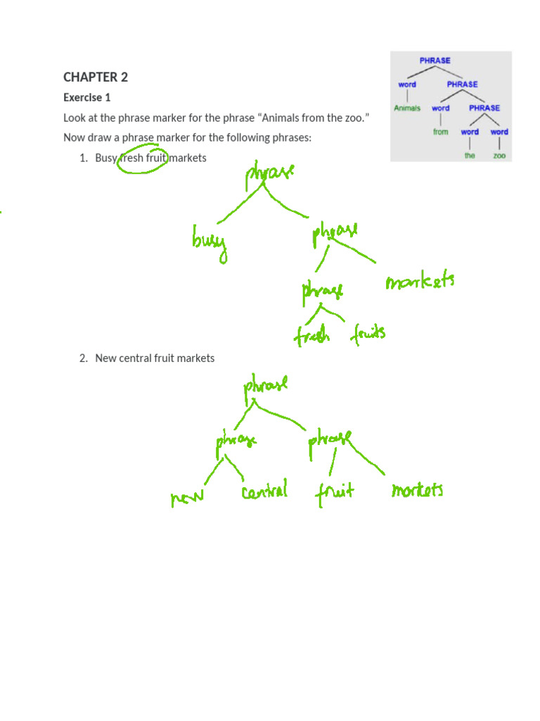2024 Exercises Chapter 2 | PDF