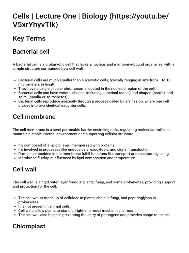 Prokaryotic Cell Structure Overview | PDF | Cell (Biology) | Cell Nucleus