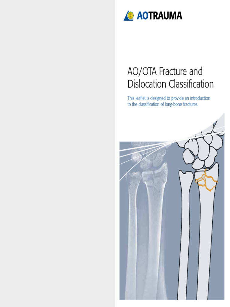 AO OTA Fracture and Dislocation Classification Leaflet | PDF | Injury ...