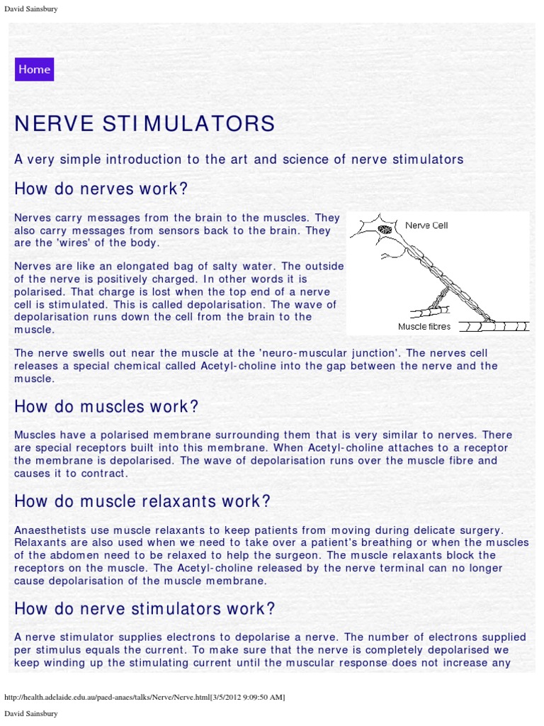 Nerve Stimulators: How Do Nerves Work? | Download Free PDF | Stimulus ...