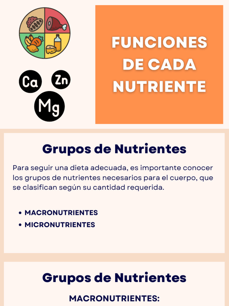 Grupos de Nutrientes Esenciales en la Dieta | PDF | gordo | Nutrientes