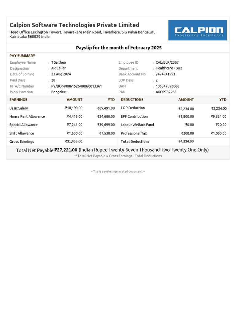 February 2025 Payslip Summary | PDF