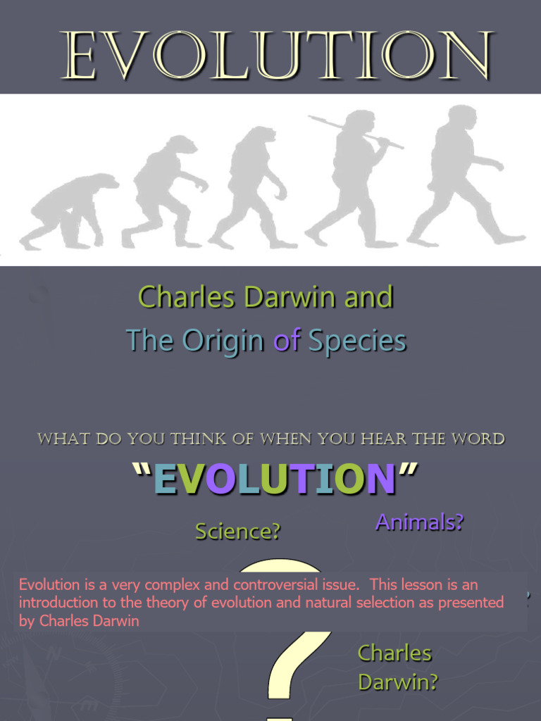 Understanding Darwin's Evolution Theory | PDF | Evolution | Natural Selection