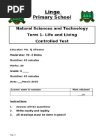 Grade 4 Natural Science Term 1 Test | PDF | Trees | Plants