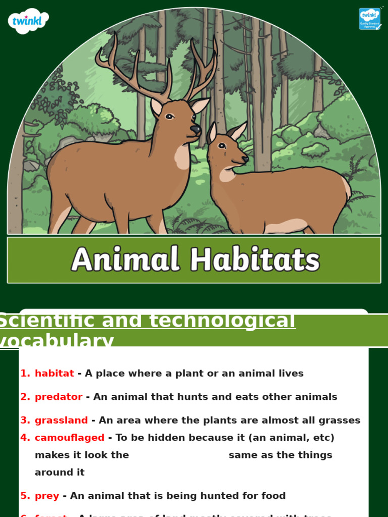 Animal Habitats Powerpoint | PDF | Predation | Habitat