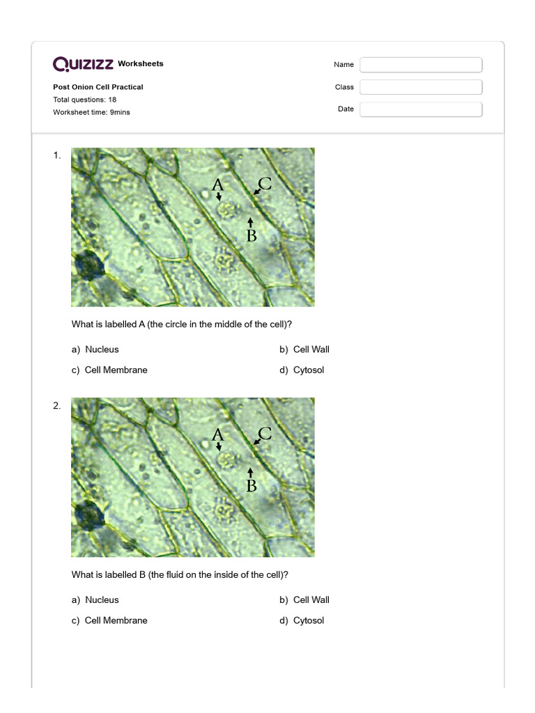 G6 Post Onion Cell Practical _ Quizizz With Ans Key | PDF | Cell ...