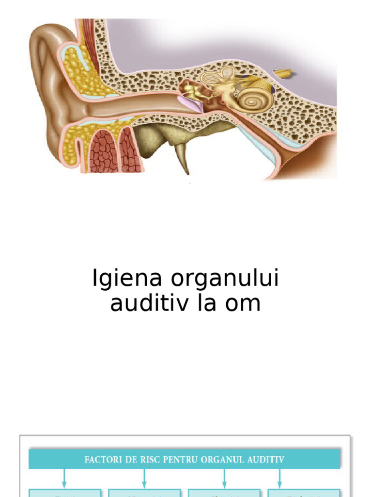 Igiena Analiz Auditiv | PDF