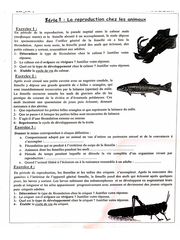 Série de 2APIC. | PDF