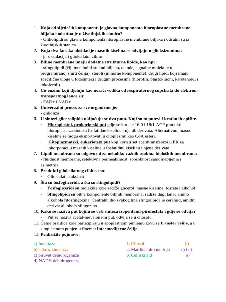 Završni Ispit - Docx | PDF