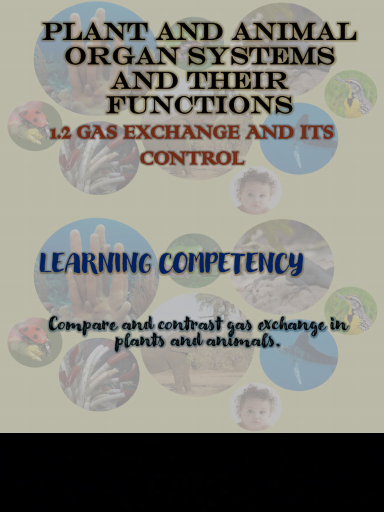 1 2 Gas Exchange and Its Control | PDF | Respiratory System | Lung