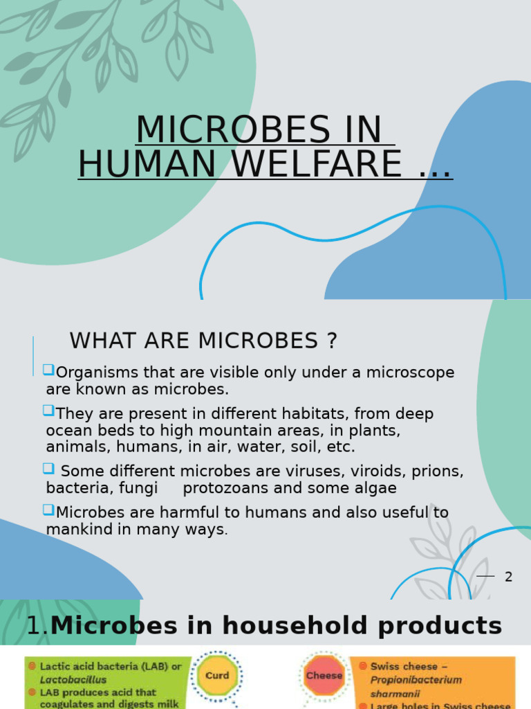 Microbes in Human Welfare | PDF | Microorganism | Plants