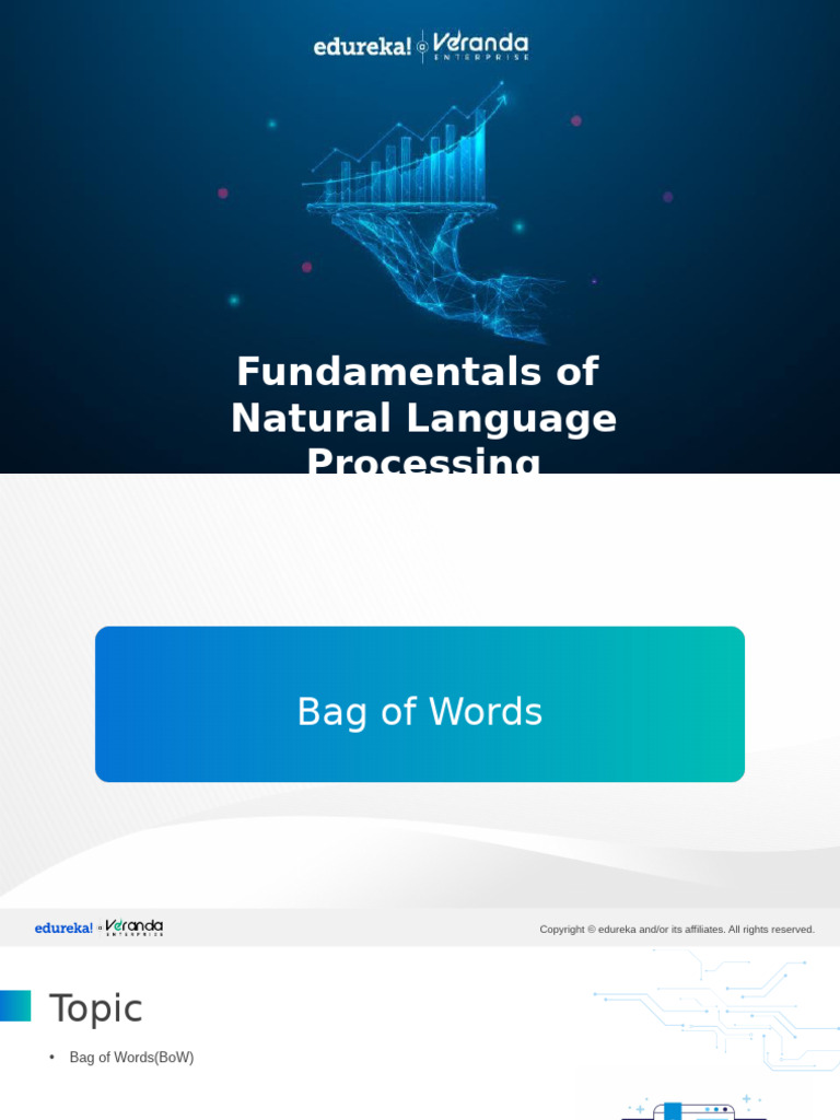 Understanding Bag of Words in NLP | PDF | Linguistics | Cognitive Science