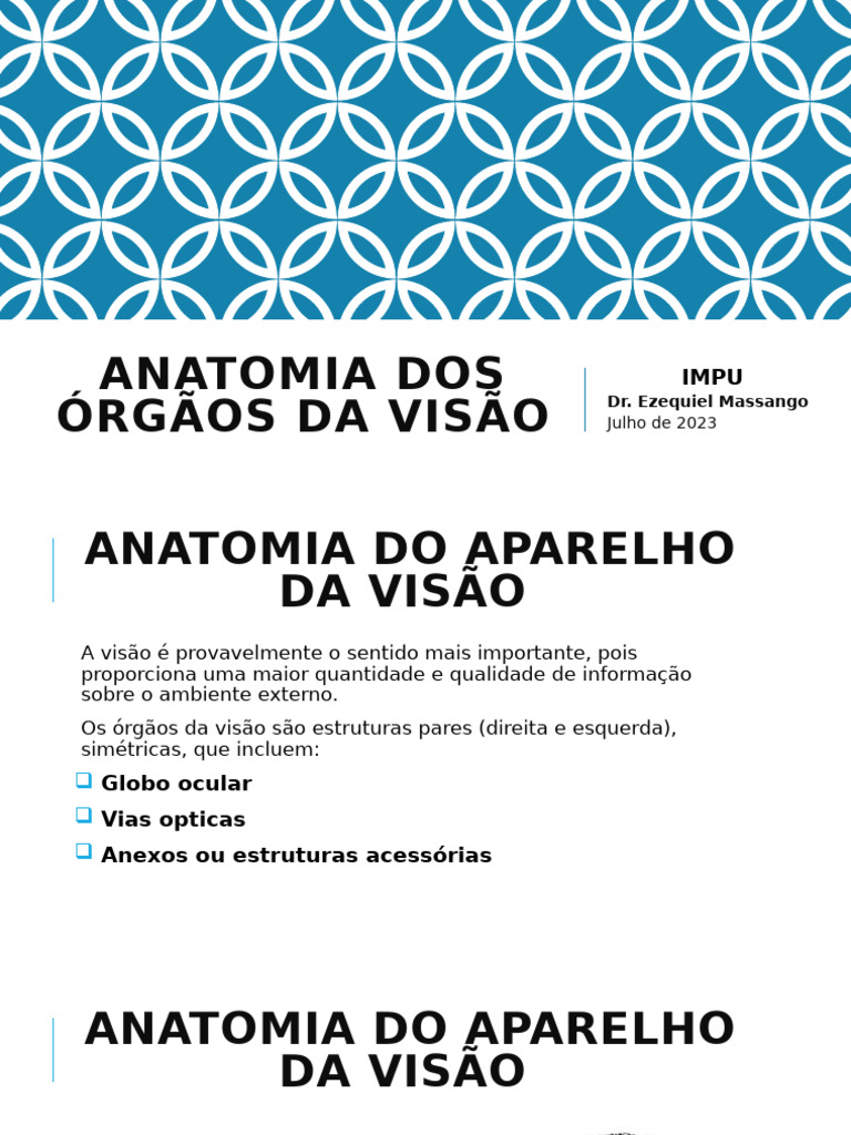 Anatomia e Fisiologia da Visão | PDF | Olho humano | Olho