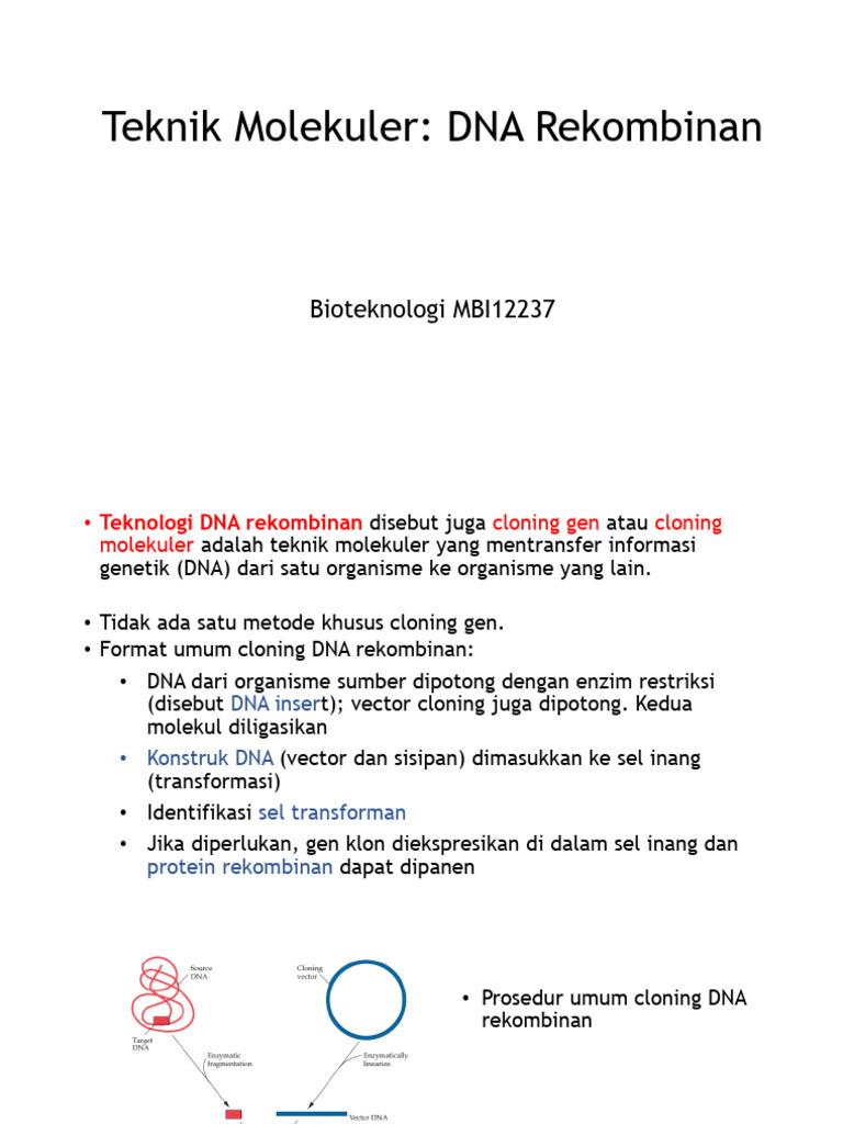 2 - Teknologi Dna Rekombinan - Stu - 2023 | PDF