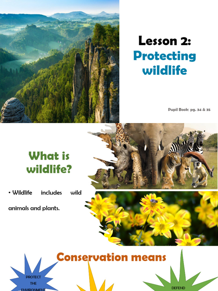 Lesson 2 - Protecting Wildlife | PDF | Wildlife | Habitat