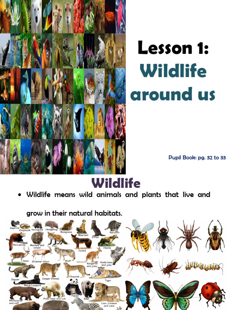 Wildlife Habitats and Conservation | PDF | Habitat | Gardens