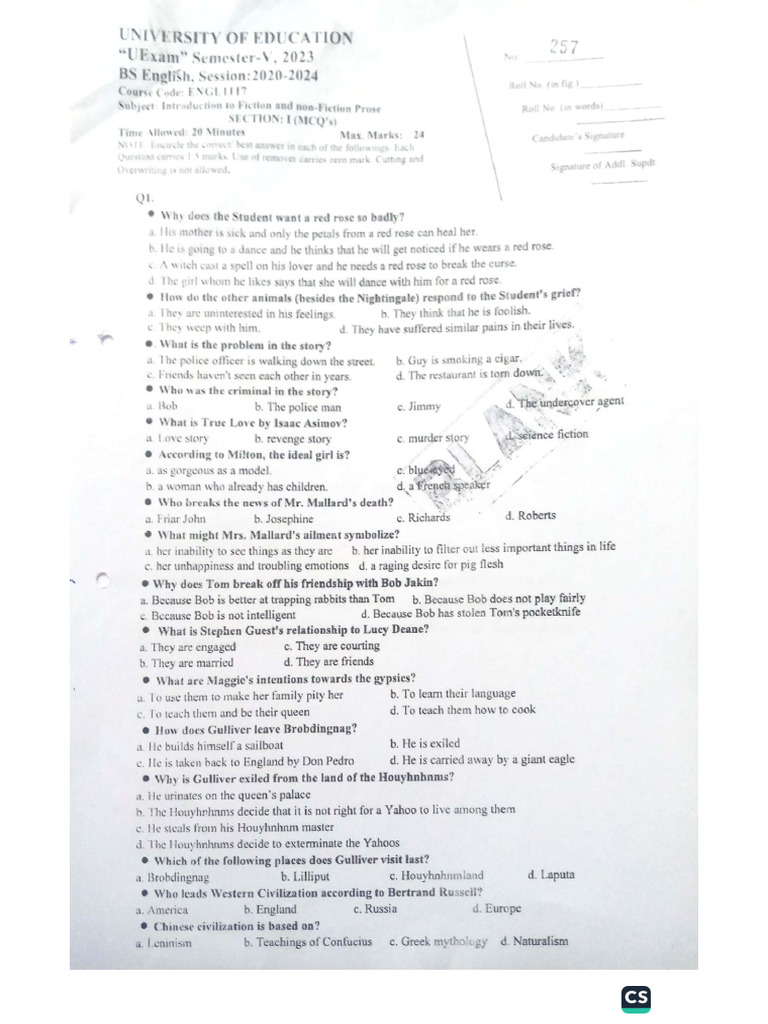 Bs English 5th Semester Past Papers | PDF