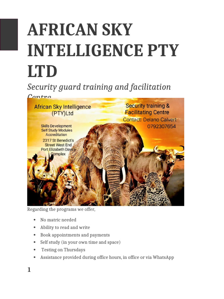 African Sky Intelligence Brochure | PDF