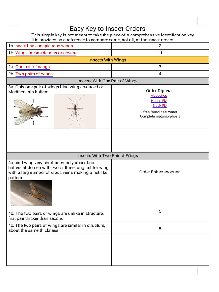 Insect Orders Identification Key | PDF | Insects | Fly