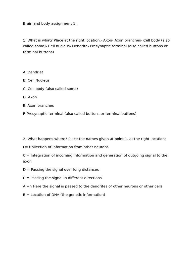Brain and Body Assignment 1 | PDF