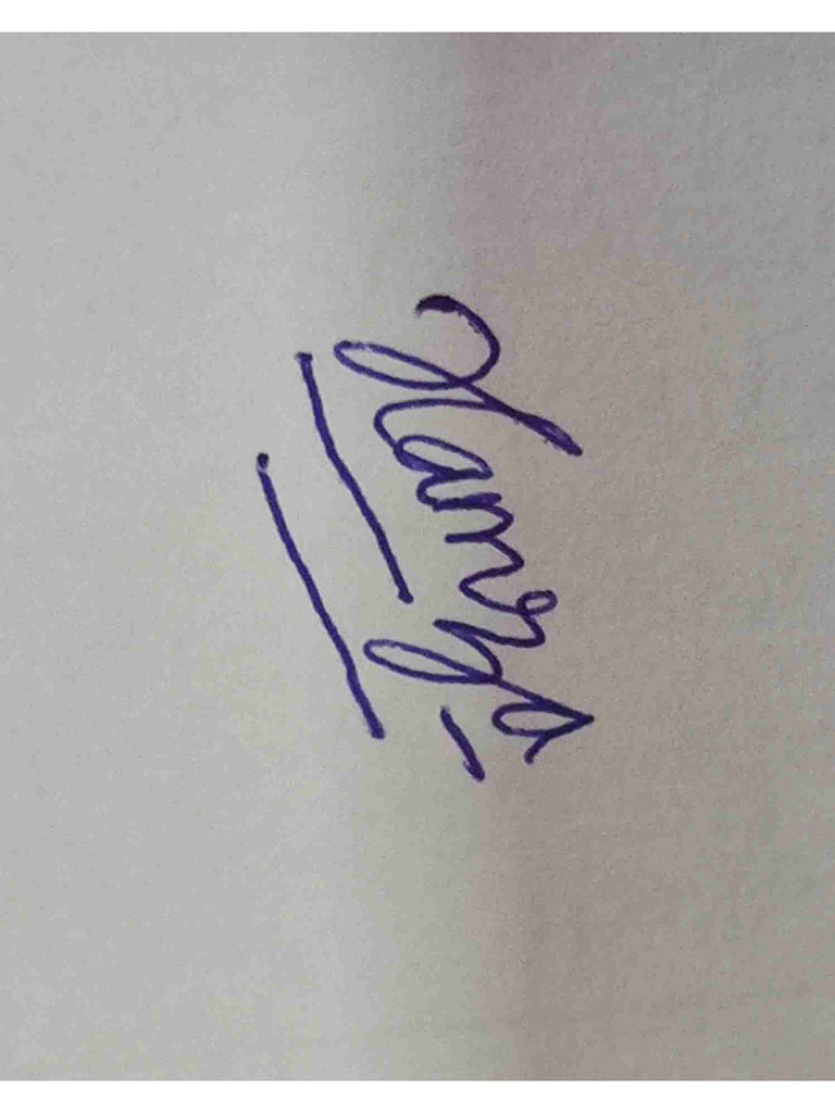 Hamza Duberia Signature | PDF
