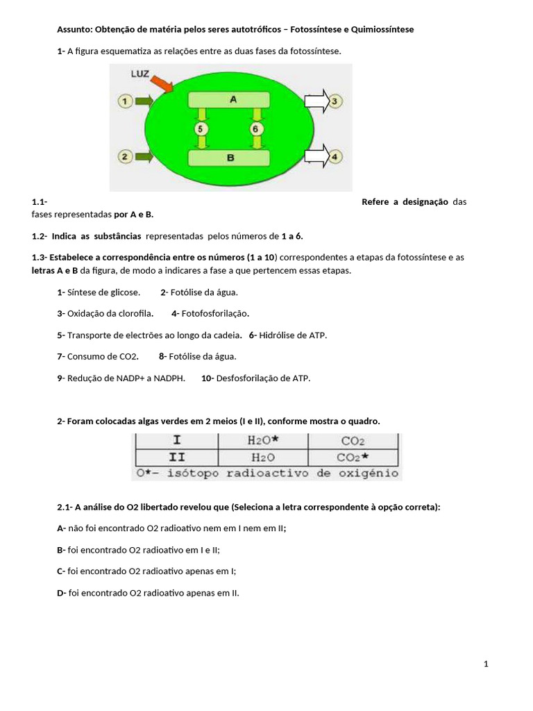 Ficha de Trabalho Foto e Quimiossíntese | PDF | Trifosfato de adenosina ...