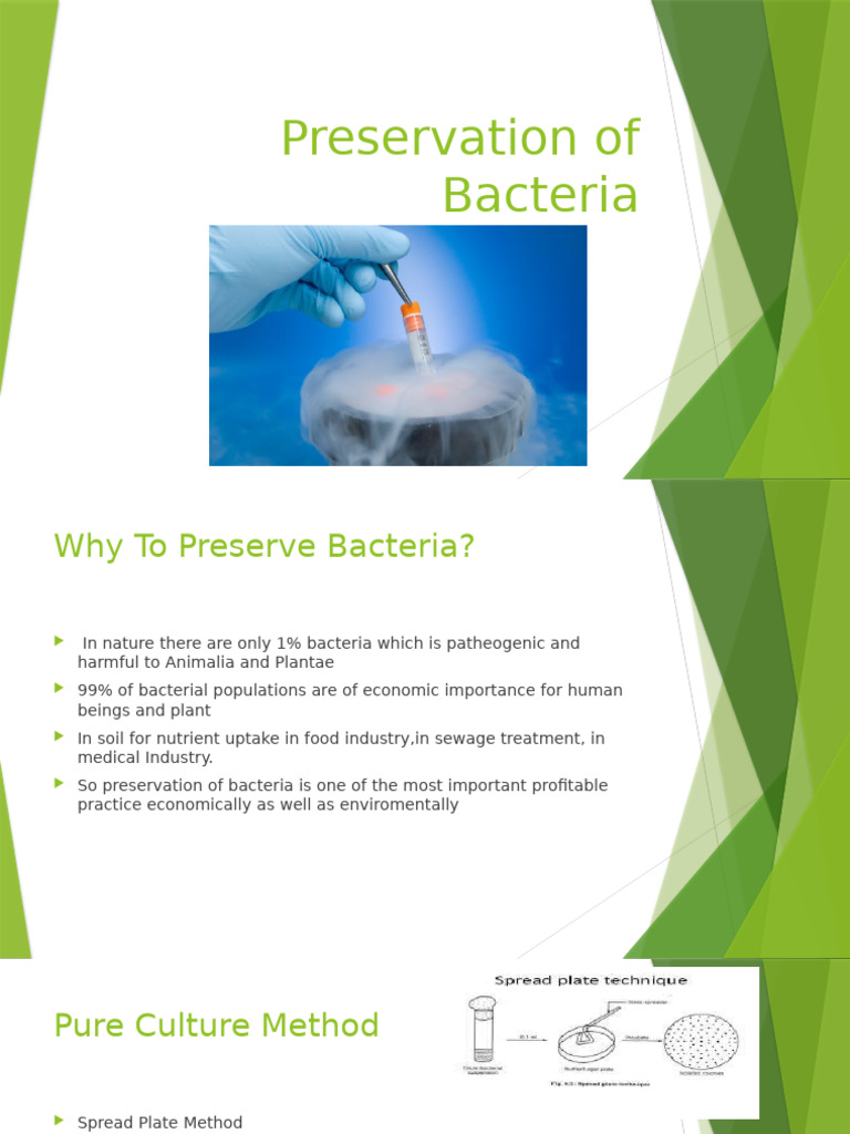 Preservation of Bacteria | PDF
