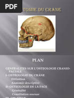 Anatomie et Fractures du Rocher | PDF | Tête et cou chez l'humain ...