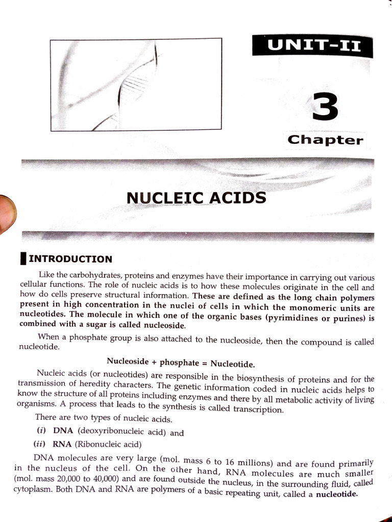 Unit-2 Chapter - 3 (Nucleic Acid) | PDF | Nucleotides | Nucleic Acids